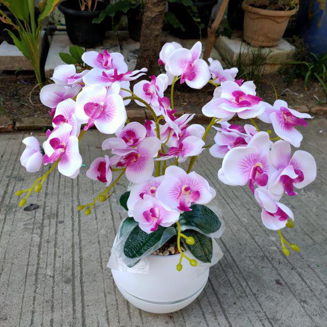 Jual BUNGA ANGGREK LATEX JUMBO POT BOLA Tanaman Artificial Palsu ...