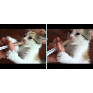 Jual SPET Kucing Suntikan 1ml / 3ml / 5ml Sepetan Spuit Pelontar Alat ...