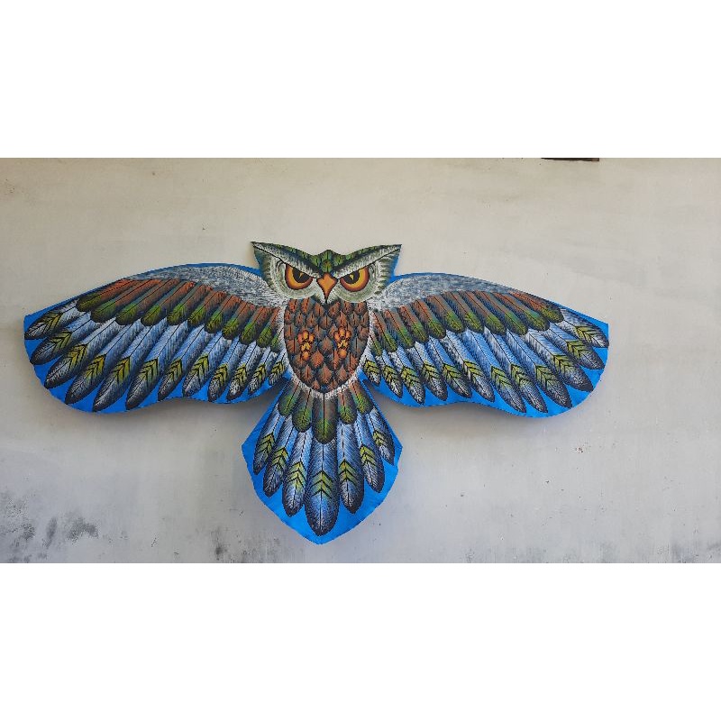 Jual layangan celepuk kebat 180 cm | Shopee Indonesia