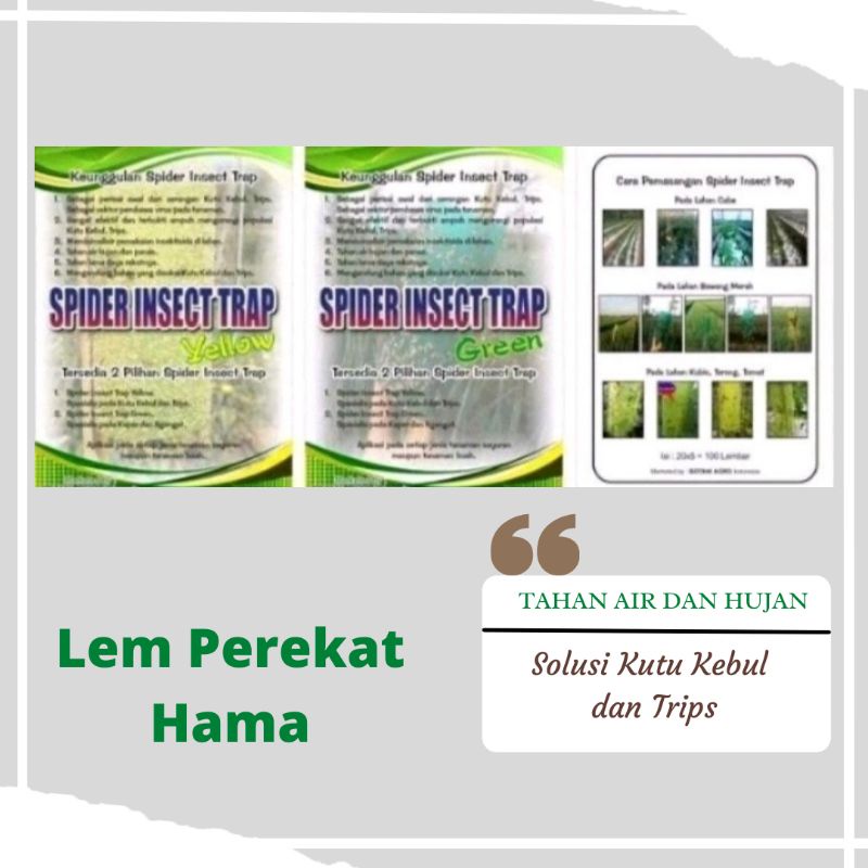 Jual COD Lem Perekat Hama Spider insect Trap Yellow dan Green isi 20 ...