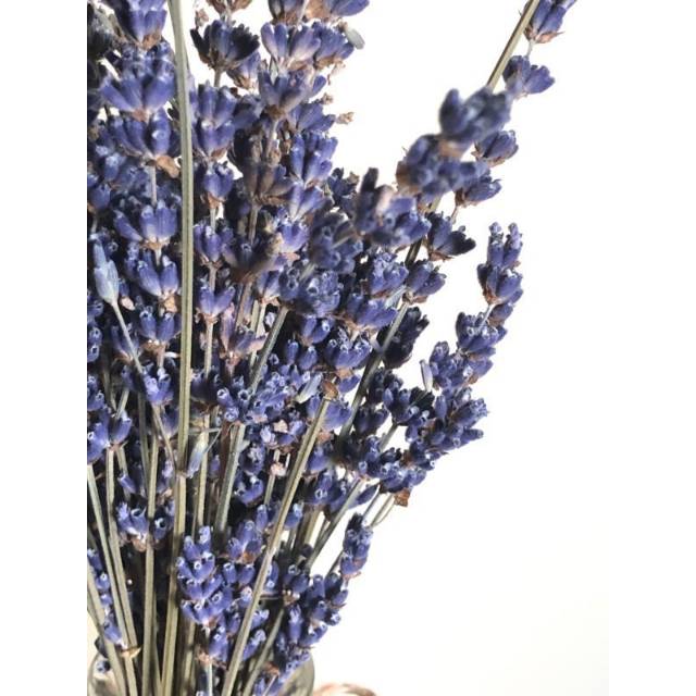 Jual 4-5 Pcs Dried Lavender Bunga Lavender Kering Import | Shopee Indonesia