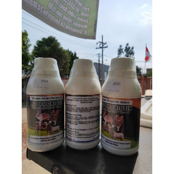 Jual BIO PROBIOTIK vit probiotik ternak | Shopee Indonesia