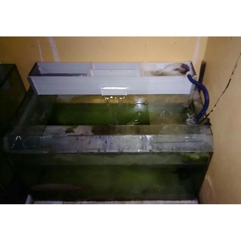 Jual Top filter talang waterfall 60 cm | Shopee Indonesia