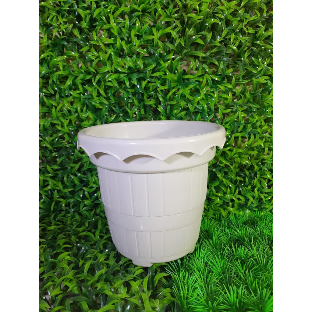 Jual Pot Bunga Nursery Taiwan Putih Pbr 001 S - Pot Bunga Putih Tanaman ...