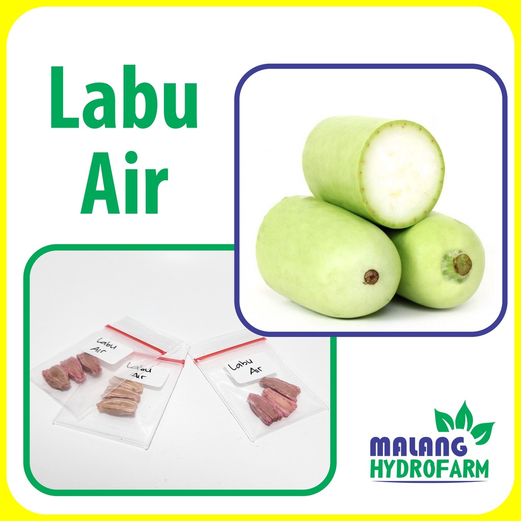 Jual Benih Labu Air Unggulan sayur panjang berkualitas biji bibit ...