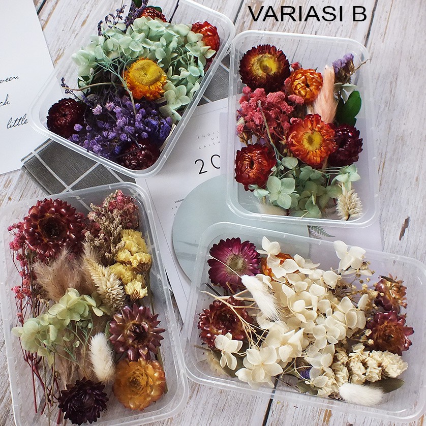 Jual 1 Kotak Bunga Kering Preserved Bunga Awet Rangkai Dried Flower DIY ...