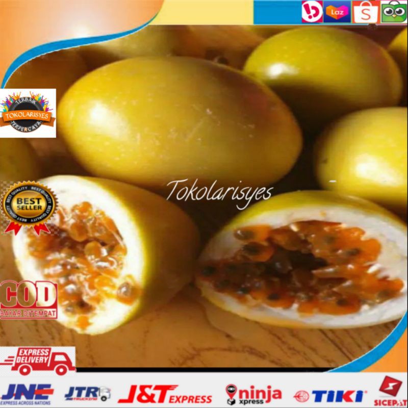 Jual Buah Markisa kuning | Shopee Indonesia