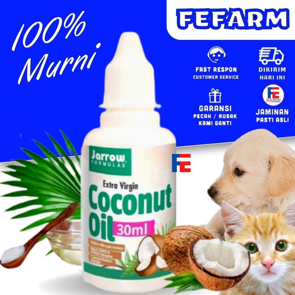 Jual Virgin Coconut Oil 30ml Minyak VCO Kucing Anjing Hewan Peliharaan ...