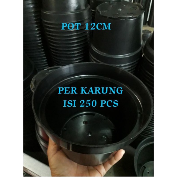 Jual Pot hitam 12 cm per karung (250pcs) | Shopee Indonesia