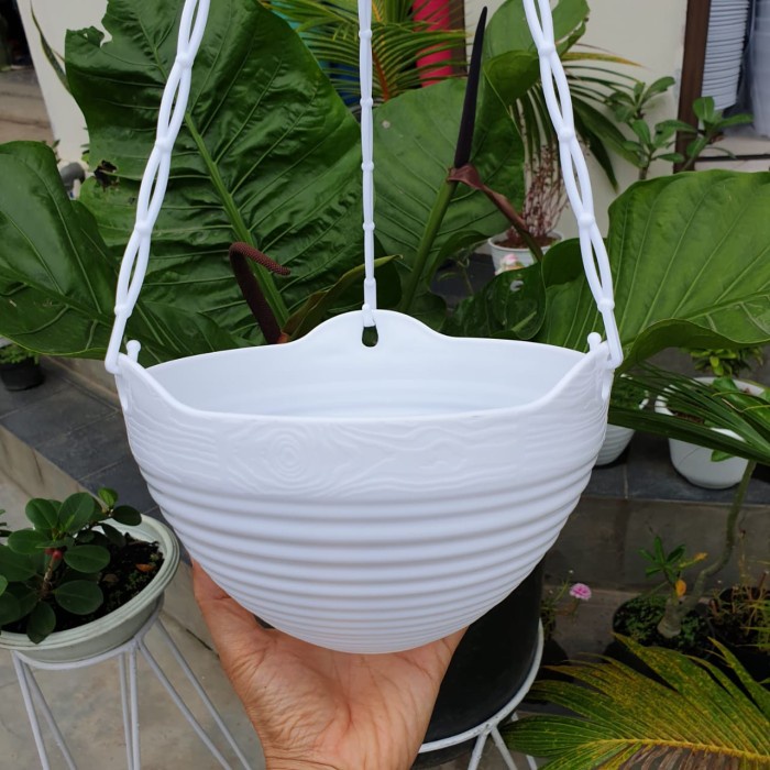Jual Pot bunga tanaman gantung gentong putih Lovenia 8852 | Shopee ...