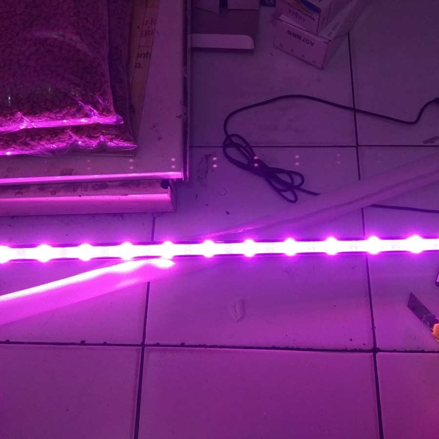Jual lampu aquarium lampu led celup sakkai pro t8 led 1000 tri color ...