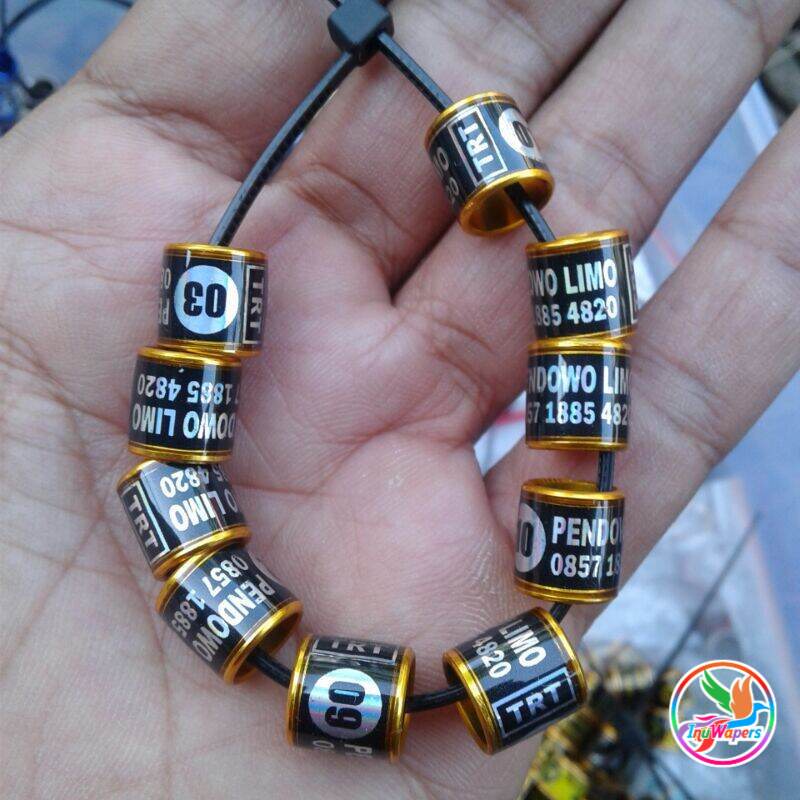 Jual RING MERPATI REQUEST NAMA SENDIRI RING MERPATI HITAM GOLD 1CM 3D ...