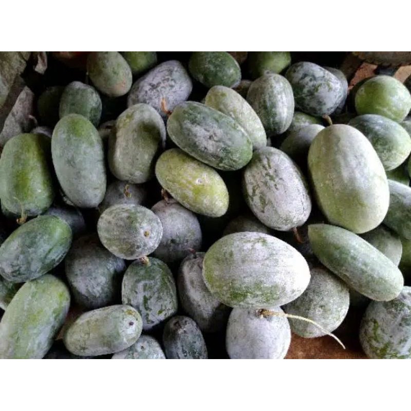 Jual Kundur/Baligo berat per 2 Kg | Shopee Indonesia