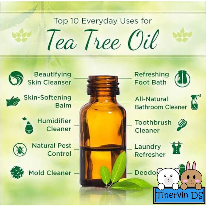 Jual Tea Tree Essential Oil (Minyak Pohon Teh) - 10 ml 100% Murni ...