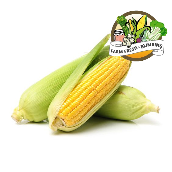 Jual corn jagung manis 1kg-1.3 kg | Shopee Indonesia