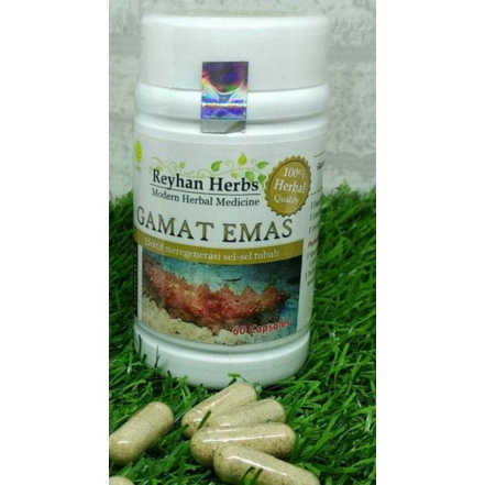 Jual Gamat Gold / Gold Sea Cucumber / Collagen Gamat / Obat Pasca ...
