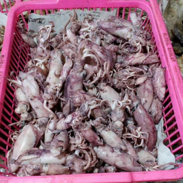 Jual Cumi Asin Telor 100gr Super toko by Bandar Ikan Asin Jambal Roti ...