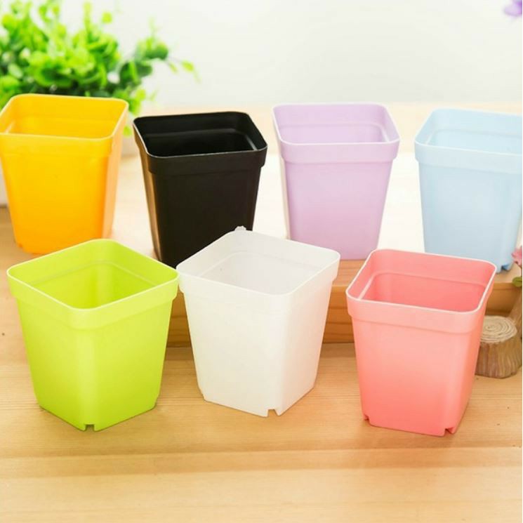 Jual Persegi Mini Pot kotak Pot Kaktus Cactus Pot Sukulen Succulent ...