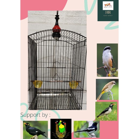 Jual Sangkar burung Kandang burung KOTAK BESI NO 2 burung jalak, cucak ...