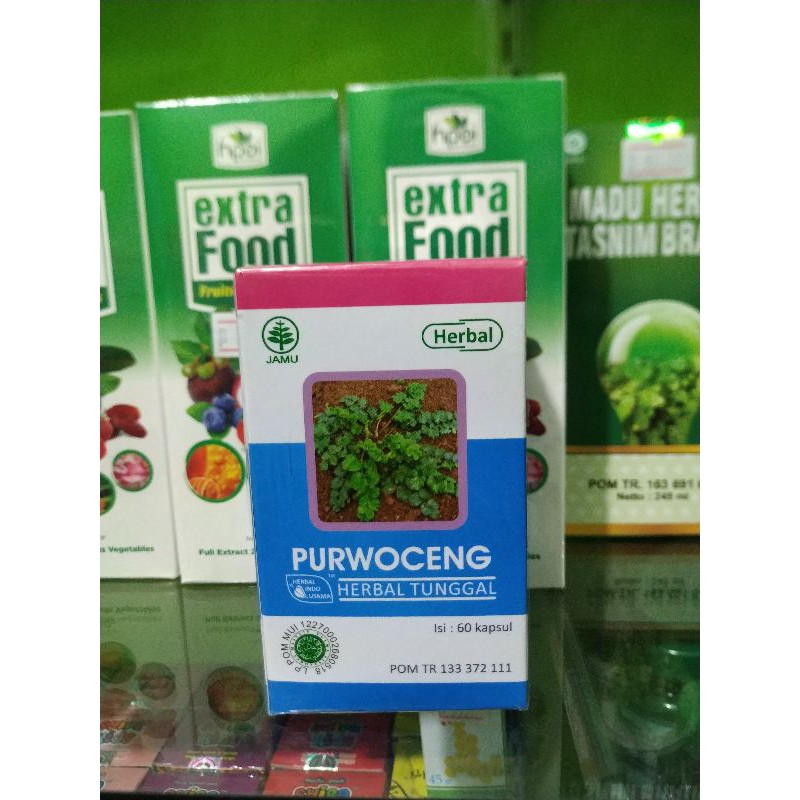 Jual PURWOCENG HERBAL INDO UTAMA KAPSUL HERBAL STAMINA PRIA (60KAPSUL ...