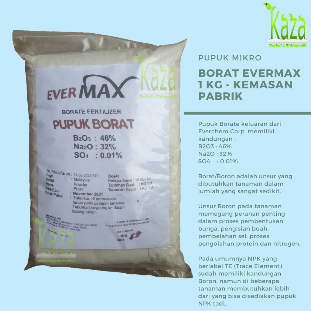 Jual Pupuk Borat Evermax 1 kg Mikro Boron Borate B2O3 HGFB Everchem ...