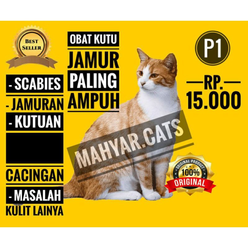 Jual Obat jamur scabies kucing P1 [ obat suntik ] Obat Jamur Kucing ...