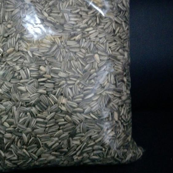 Jual kuaci burung / kuaci pakan burung / kuaci 1kg ♣ | Shopee Indonesia