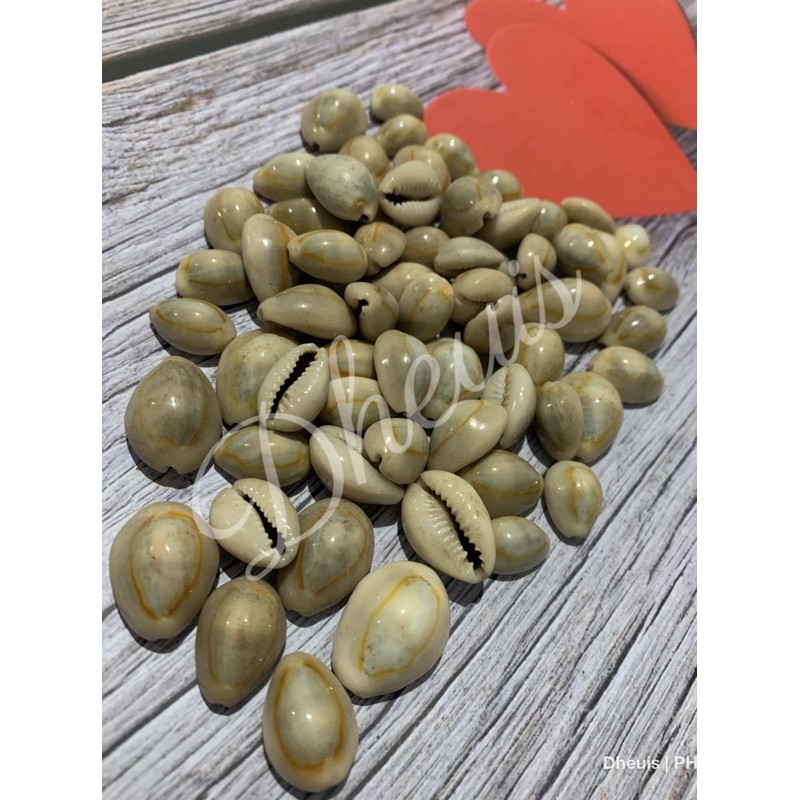 Jual Biji Congklak - Kerang - Kuwuk 100gram | Shopee Indonesia