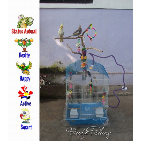 Jual SPIRAL "S" 150 Cm BURUNG PARROT parkit cockatiel hingga sun conure ...