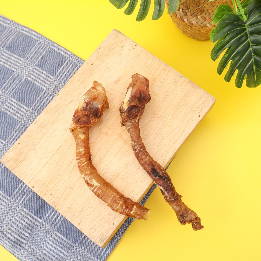 Jual Poochlicious Pig Trachea / Tenggorokan Babi (Dog Treat / Snack ...
