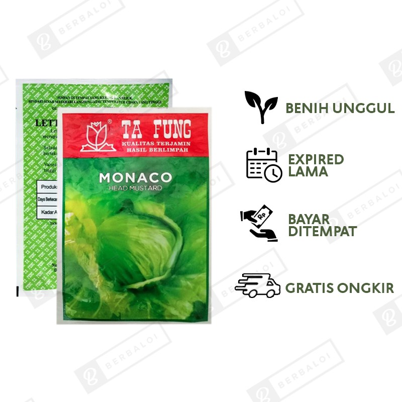 Jual COD Monaco Head Mustard Benih Sawi Pahit Ta Fung 10 Gram | Shopee ...