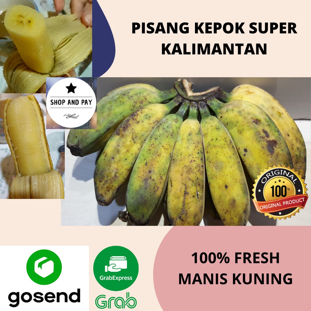 Jual Pisang Kepok Super Kalimantan Pontianak Fresh Manis Kuning 1KG ...
