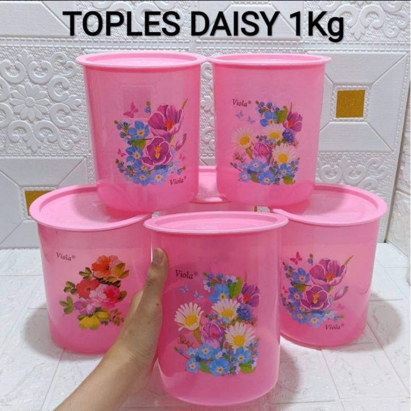 Jual Toples Daisy Viola Ukuran 1 Kg Isi 6 Pcs | Shopee Indonesia
