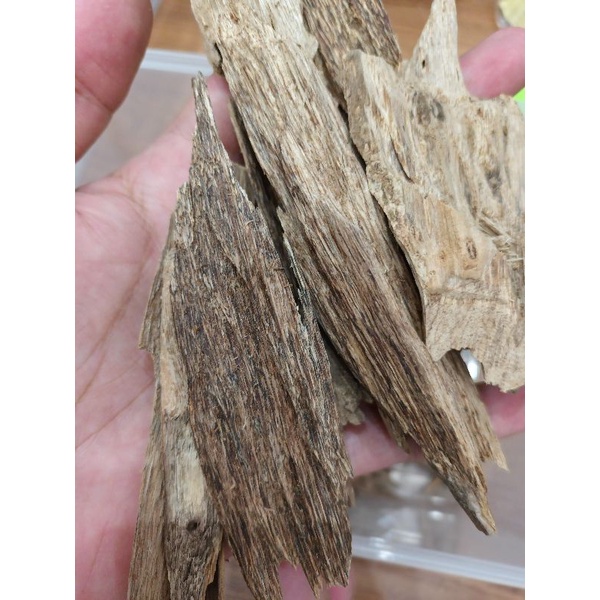 Jual OUD kayu Gaharu Sumbawa gahru asli mengandung minyak gaharu dalam ...
