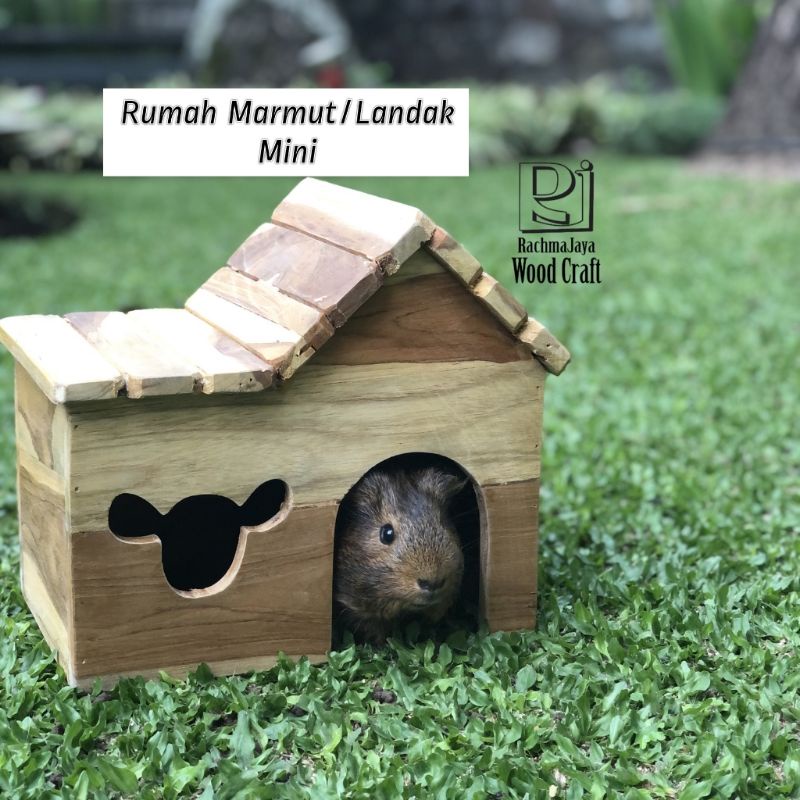 Jual Rumah Marmut Rumah Landak mini Rumah Guinea Pig | Shopee Indonesia