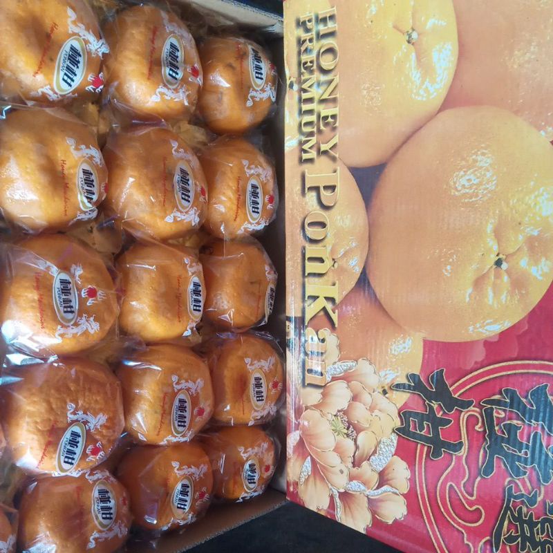 Jual Buah Jeruk Honey Ponkam Premium | Shopee Indonesia