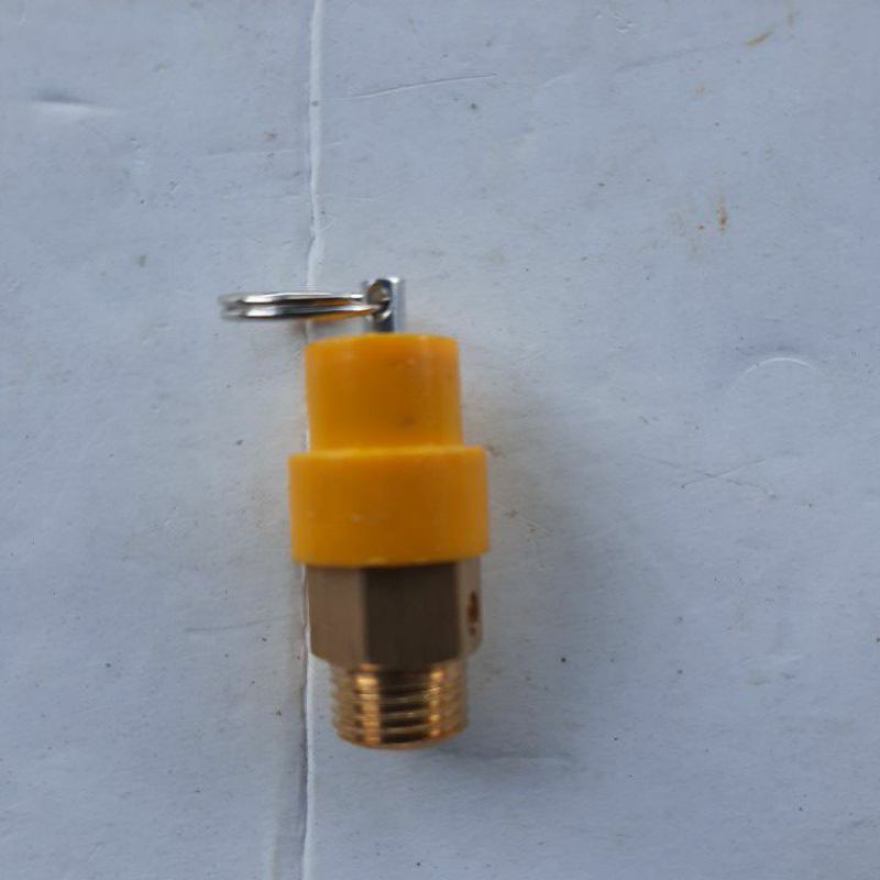 Jual Otomatis kompresor 1/4hp/mini safety valve warna variasi | Shopee ...