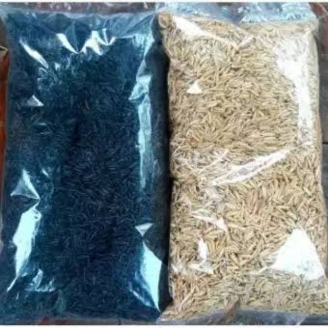 Jual SEKAM PADI (MENTAH/MATENG) MEDIA TANAM / MEDIA HIDROPONIK DAN ABU ...