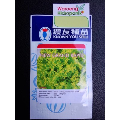 Jual BENIH SELADA / LETTUCE NEW GRAND RAPID KNOWN YOU SEED ORIGINAL PACK | Shopee Indonesia