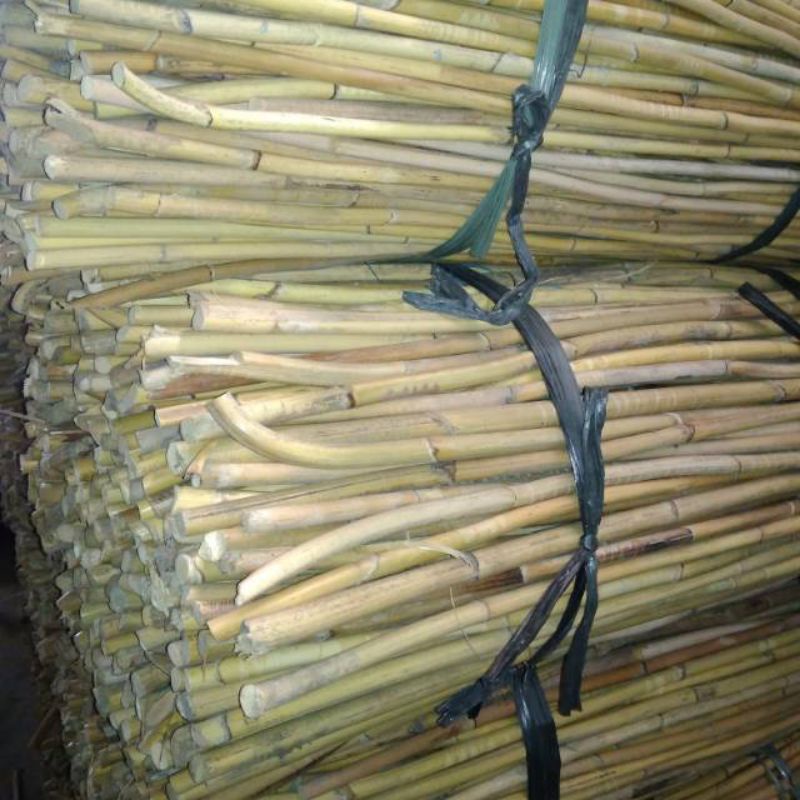 Jual Rotan hutan/rotan stik/kayu rotan super panjang 1mtr | Shopee ...