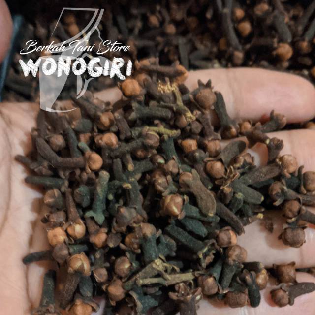 Jual CENGKEH / CENGKIH KERING 100 gram | Shopee Indonesia