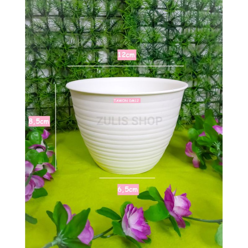 Jual POT BUNGA MINI / TANAMAN TAWON PUTIH UKURAN DM 12 CM BUDI JAYA BJP ...