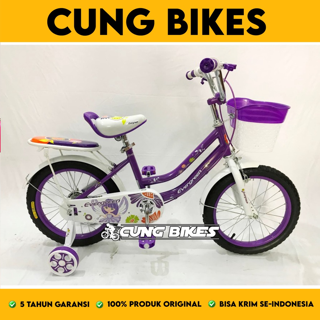 Jual Sepeda anak perempuan mini 16 inch Evergreen Daisy sepeda roda ...