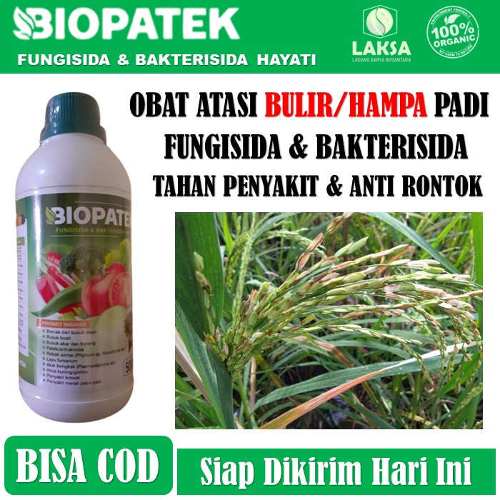 Jual PROMO MURAH !! Fungisida BIOPATEK 500 ML Obat Semprot Atasi BULIR/HAMPA Padi - BIOPATEK ...