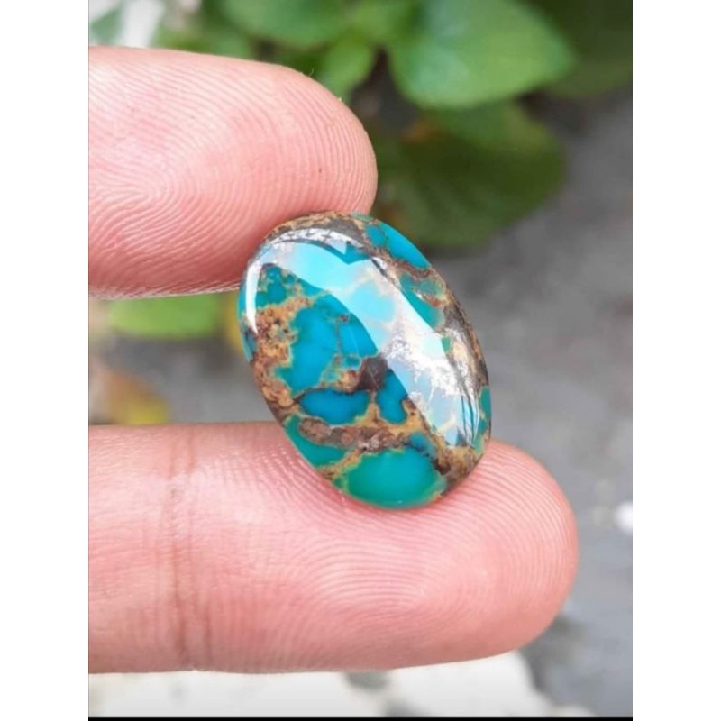 Jual PIRUS PERSIA SERAT EMAS | Shopee Indonesia