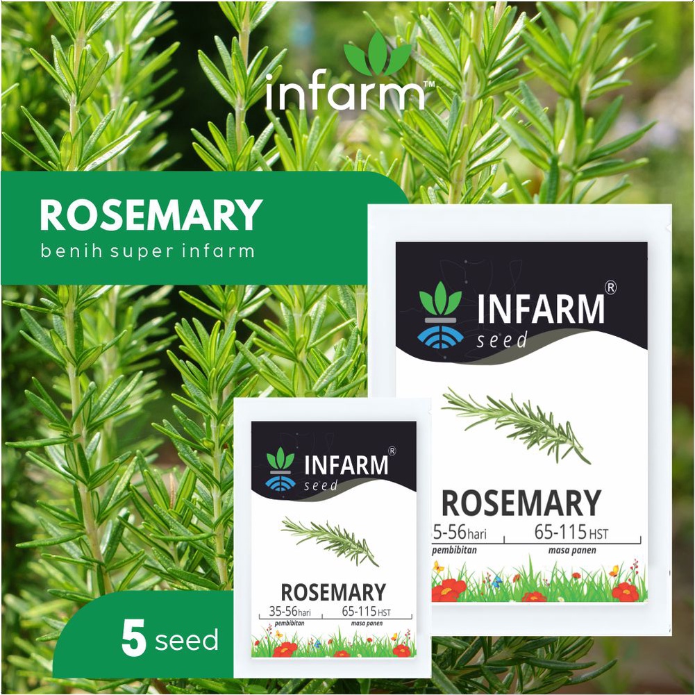 Jual INFARM - Benih Bibit Biji Herbal Rosemary | Shopee Indonesia