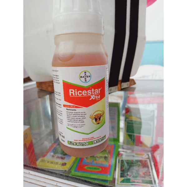 Jual Herbisida Padi Ricestar Xtra89 of 100ml | Shopee Indonesia