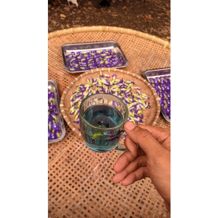 Jual Bunga Telang Organik 10 Gr/teh telang kering/butterfly pea/teh ...