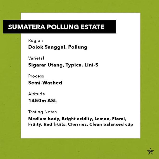 Jual Promo Akhir Tahun Arabica Green Beans - Sumatera Pollung Estate ...