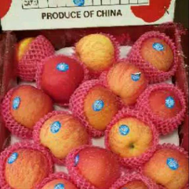 Jual Apel Fuji China Ganda Segar dan Sehat per 1 Kg Rp. 35.000 | Shopee ...